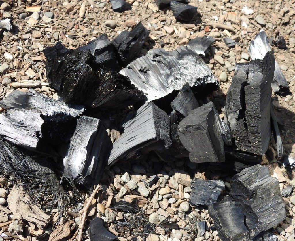 Unveiling Pyrolysis: The Leading Technology for Biochar Production - Order